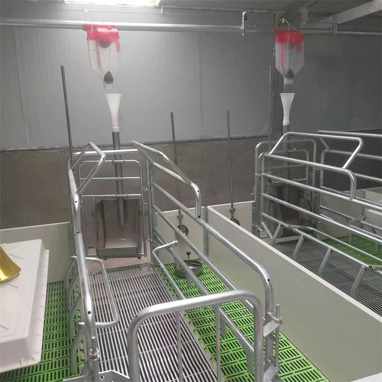 Hot Dip Galvanized PVC Panel Pig Birthing Cage Farrowing Crates for Pig ...