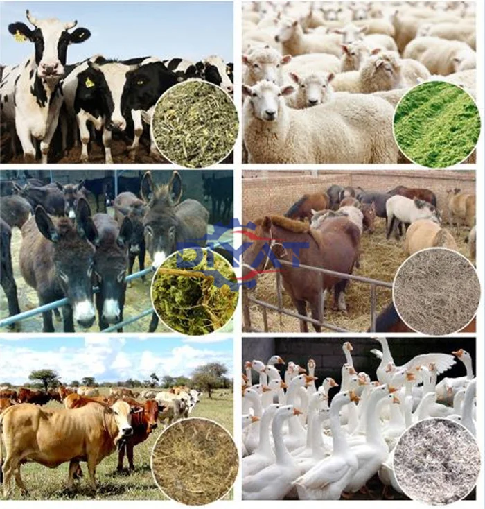 Horizontal Farm Cow Cattle Feed Tmr Feed Mixing Machine Cattle Breeding ...