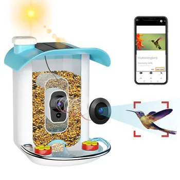 Free Ai Bird Recognition Low Power Wifi Remote Control Bird Feeder ...