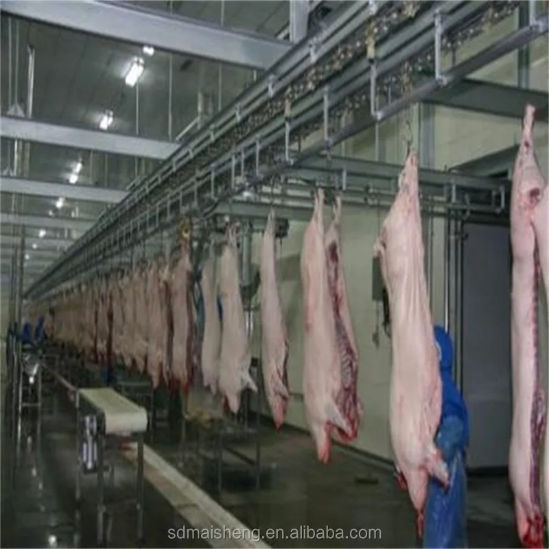 Complete Pig Slaughtering Line Swine Slaughterhouse Machinery With ...