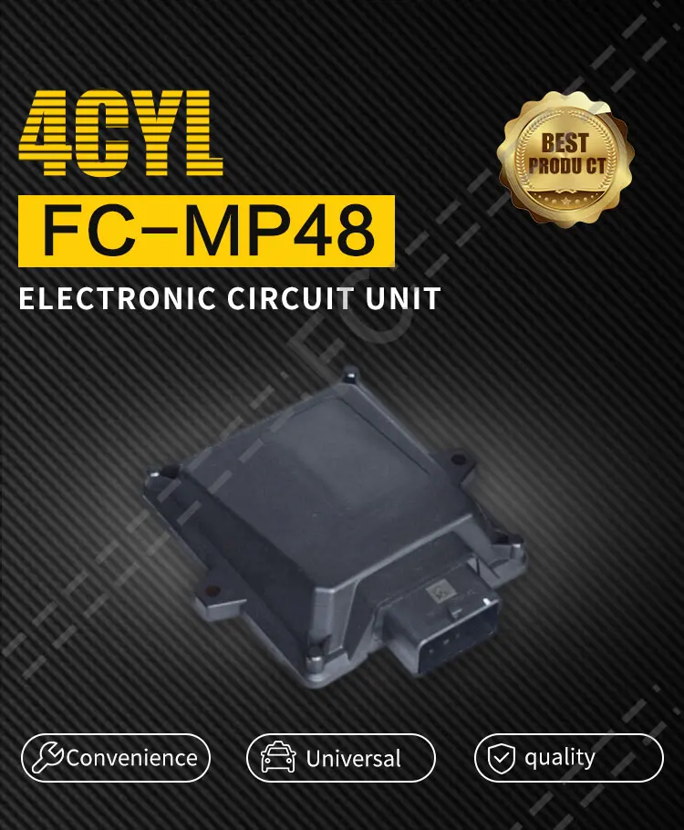 CNG LPG Conversion ECU Kits - Fuel Injection Solutions