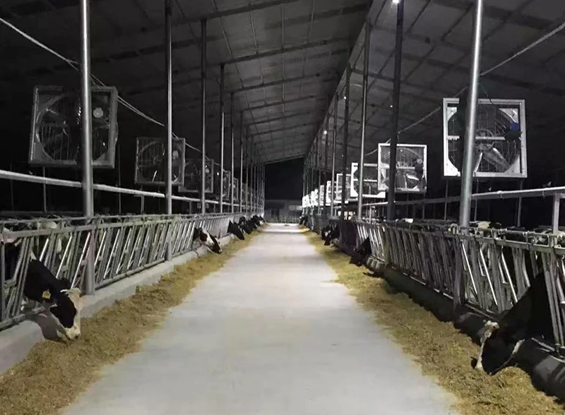 Hanging Ventilation Cow Exhaust Fan For Cattle Dairy Farm Farming House ...