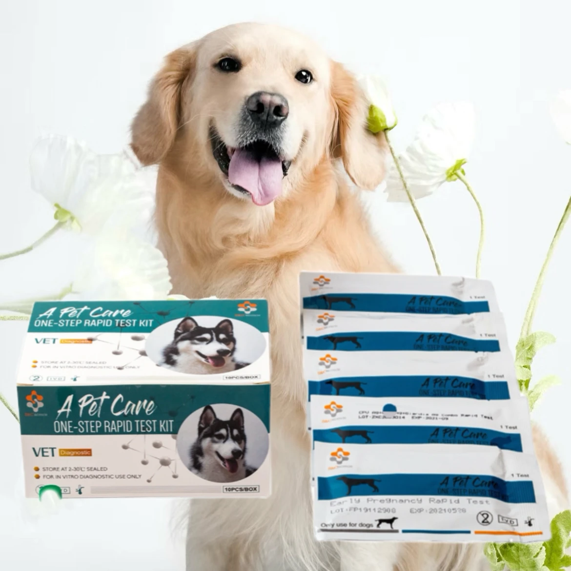A Pet Care Pruebas Brucella BRU Cassette Brucellosis Antibody C.BCL Ab ...