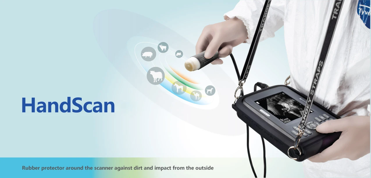 All Digital Obstetric Handheld Vet And Animal Ultrasound Scanners ...
