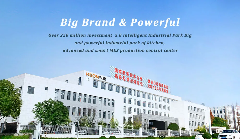 Gas Stove With Dish Keep Warm Function Kitchen Chimney Ventilation ...