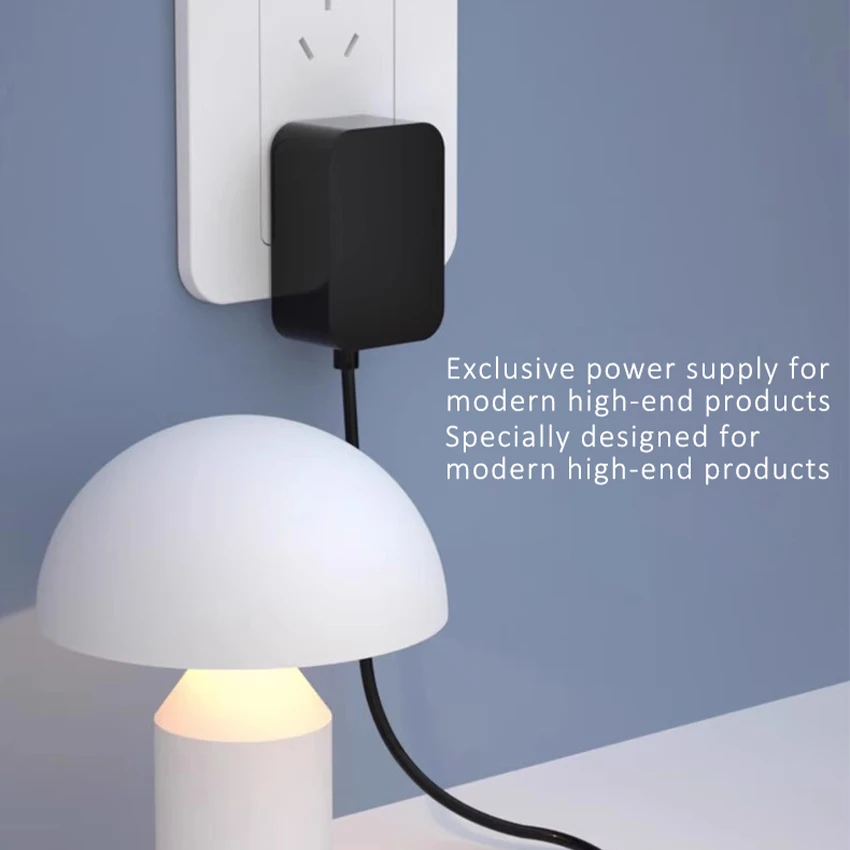 US 2 Pin Plug 12V 2A - Reliable Power Adapter for 5V Devices
