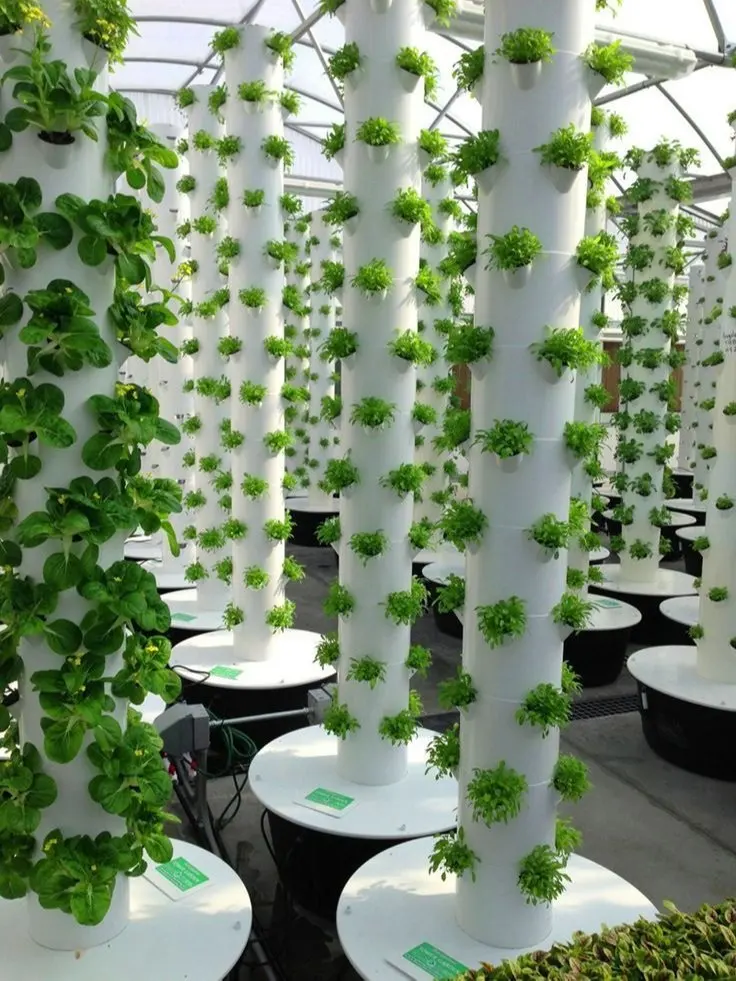 Indoor Farming - Vertical Hydroponic Grow Towers for Strawberries