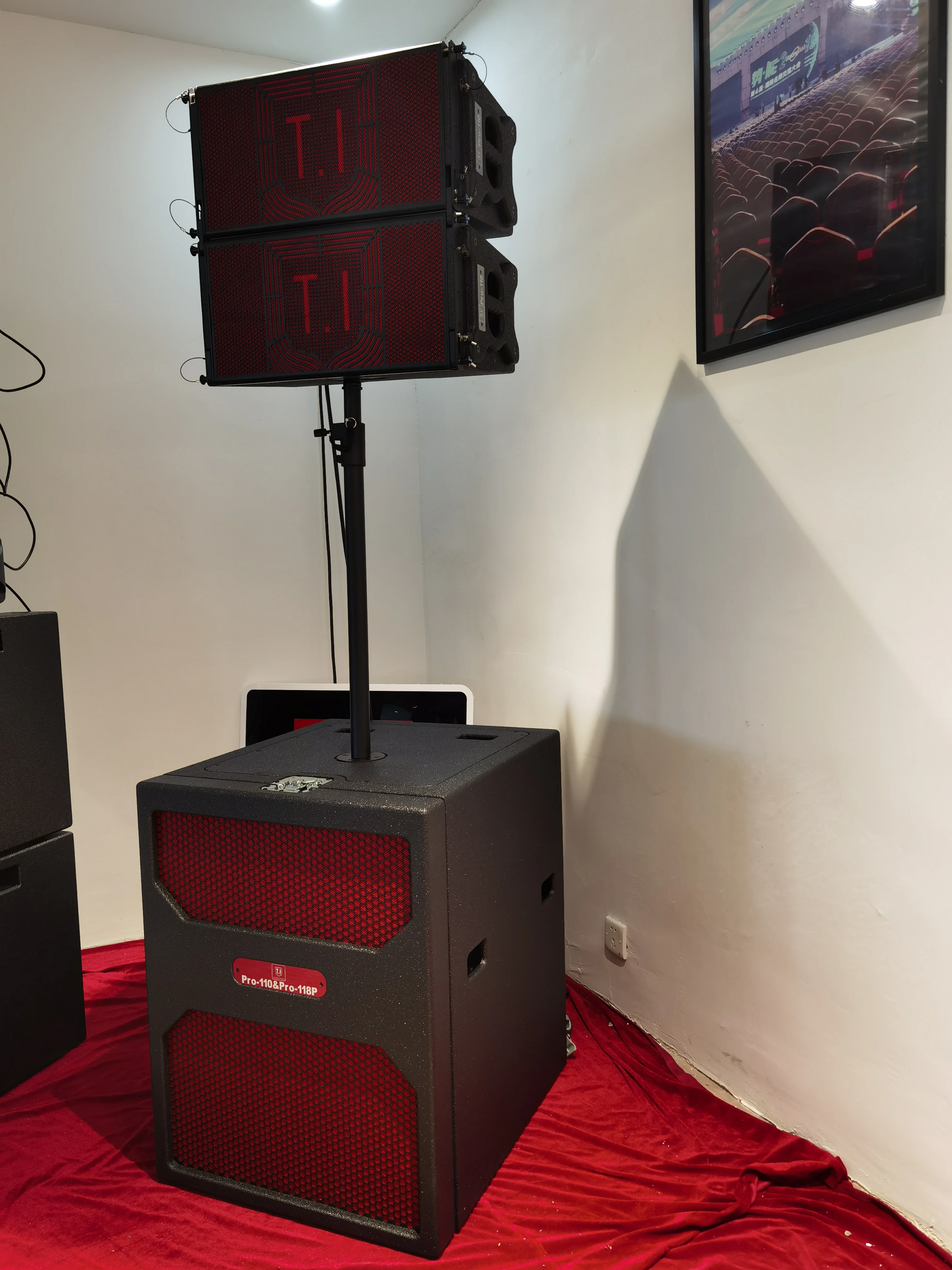 Pro110 Professional Audio Sound Speaker - 10 Inch Line Array