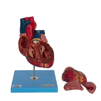 Shanghai Evenk International Trading Co., Ltd. - Emergency training ...