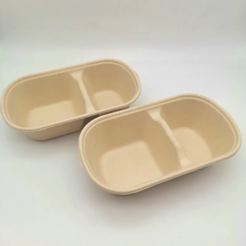 2 Compartment Food Container 1000ml Bento Box with Lid