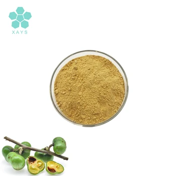 Organic Camellia Oleifera Tea Tree Seeds Extract Powder Saponin - Buy ...