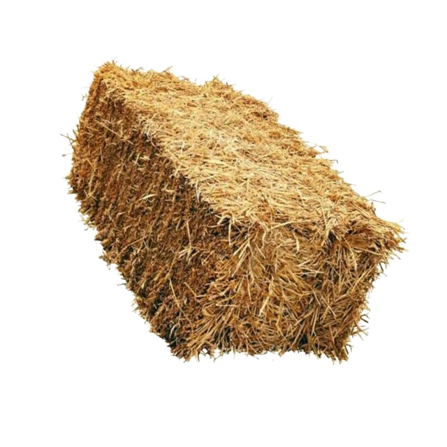 Block Of Straw From Rice Plants Made From Compressed Rice Cobs For Use ...