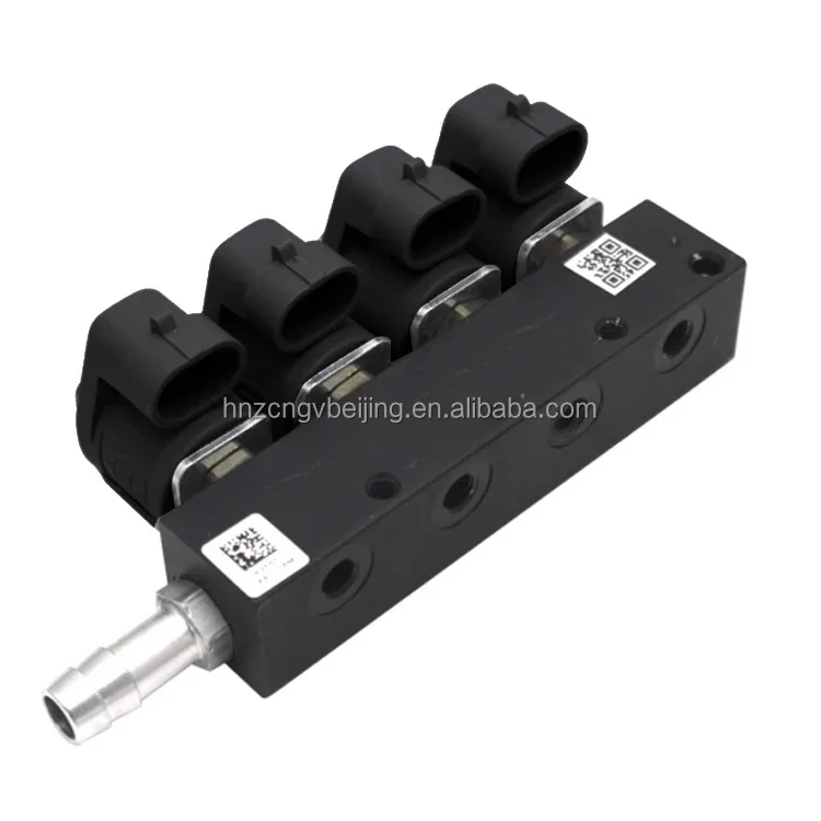 Auto Gas Kit Injector Rail 2ohm Car Injector Conversion Kit Gnv Glp Gas ...