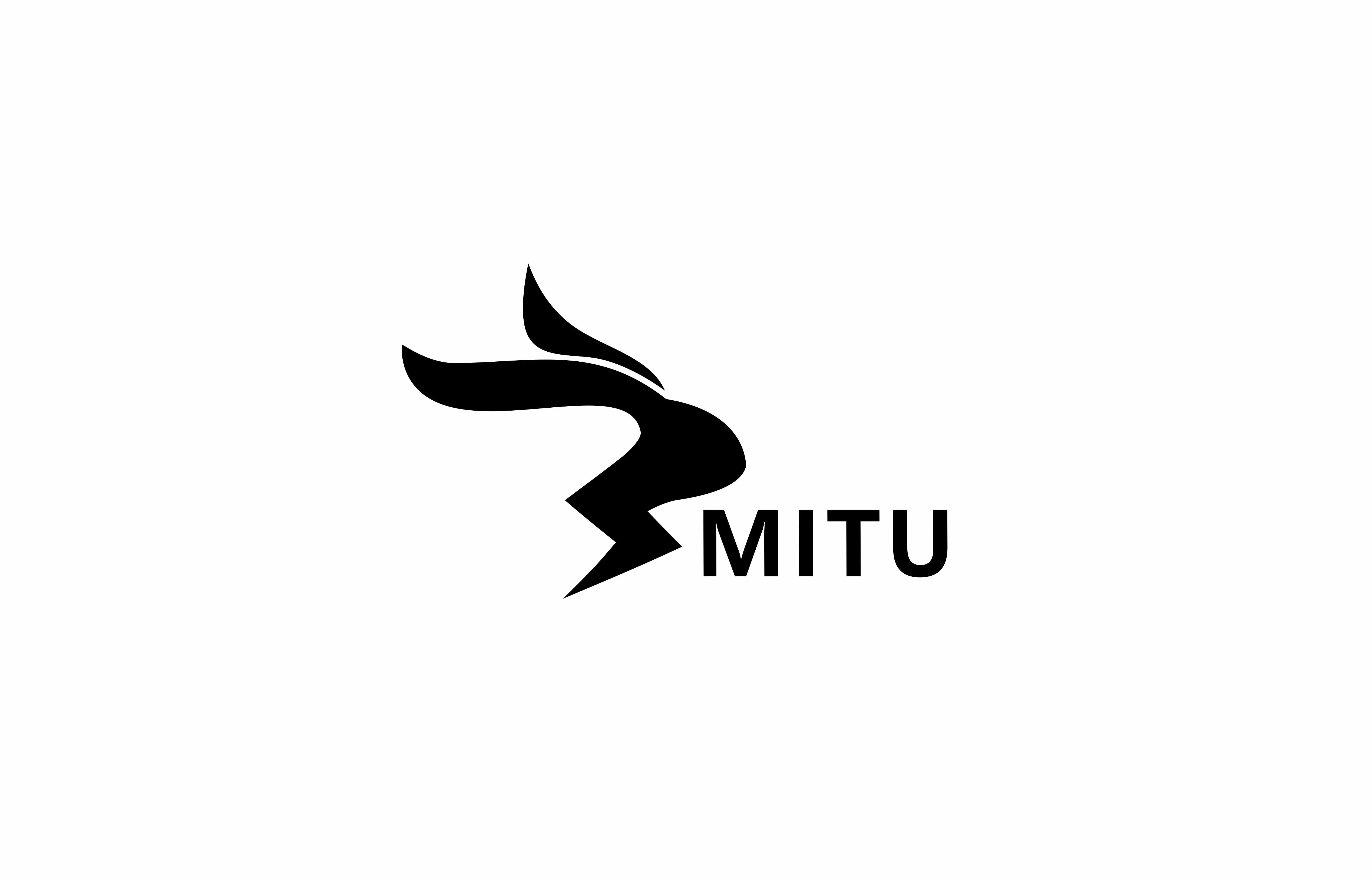 Company Overview - Hunan Mitu Technology Co., Ltd.