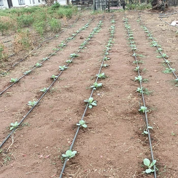 1 Hectare Irrigation Kit Design Drip Tape Irrigation System 16mm Ldpe ...