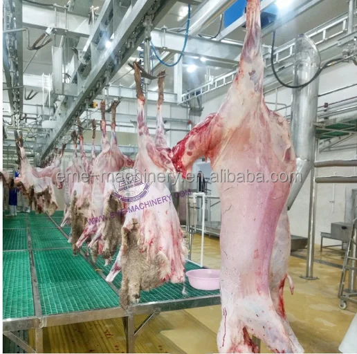 High Quality Mutton Abattoir Butchers Meat Rails Sheep Goat Processing ...