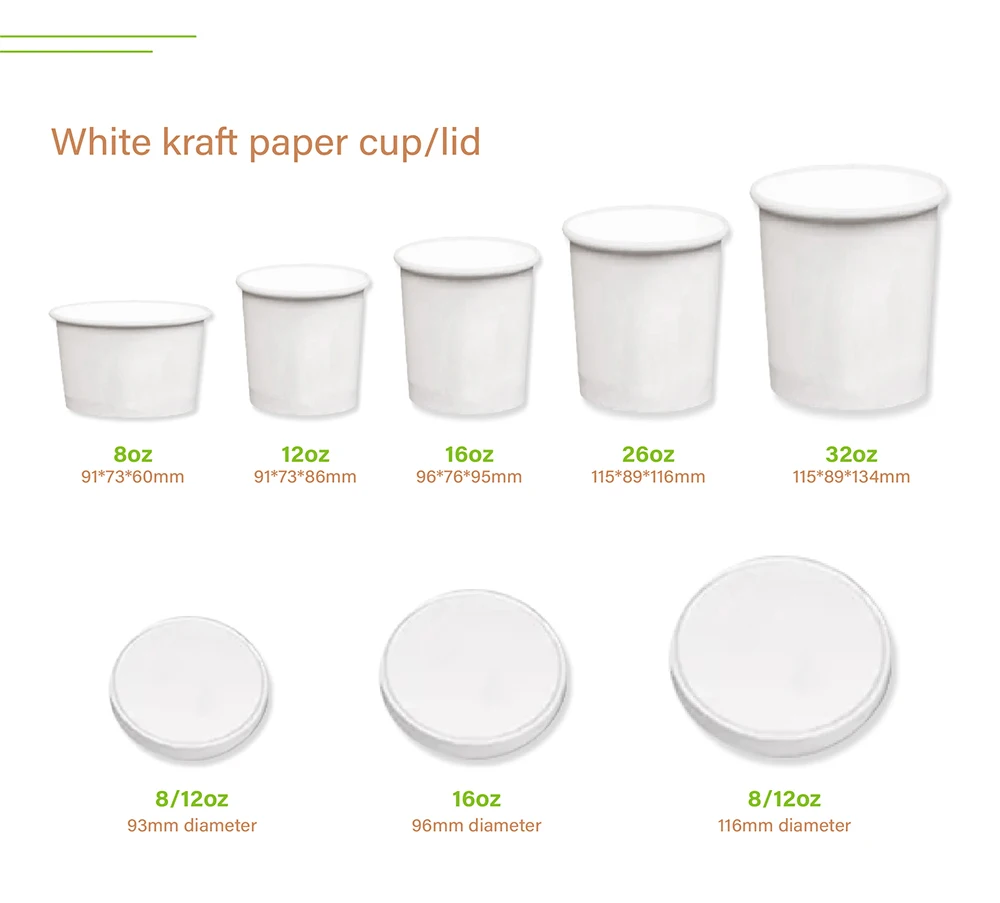 Eco-friendly Ice Cream Packaging - 16oz Disposable Cups