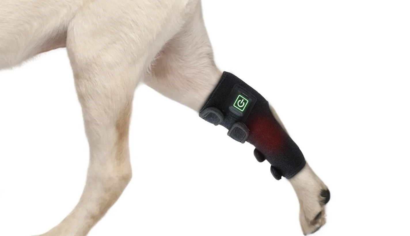 New Pet Therapy Home Use Dog Red Light Infrared Wrap Pain Therapy 660nm ...
