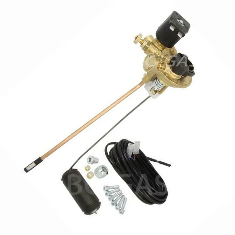 Lpg Simple Integrated Valve With A Level Sensor Multivalve For Autogas ...