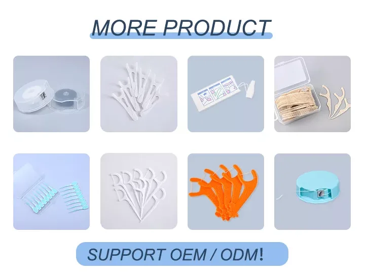 Plastic Flosser Floss Picks Dental Floss Tooth Pick Bulk Mint Flavor ...