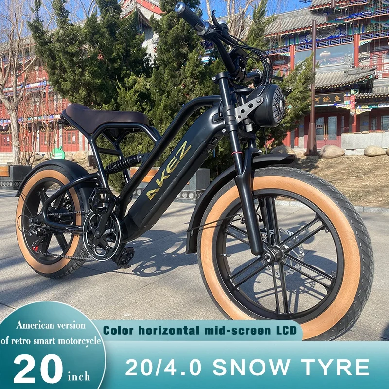 Double Suspension Mountain Bike Wheeled 20 Inch Fat Tire Electric Bike ...
