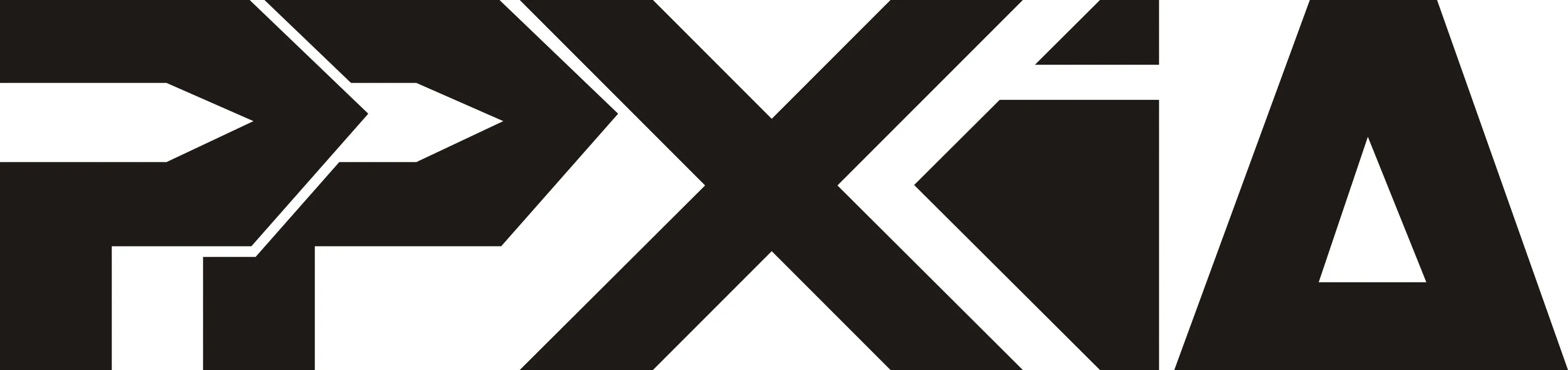 Company Overview - Pipixia (guangzhou) Technology Co., Ltd.