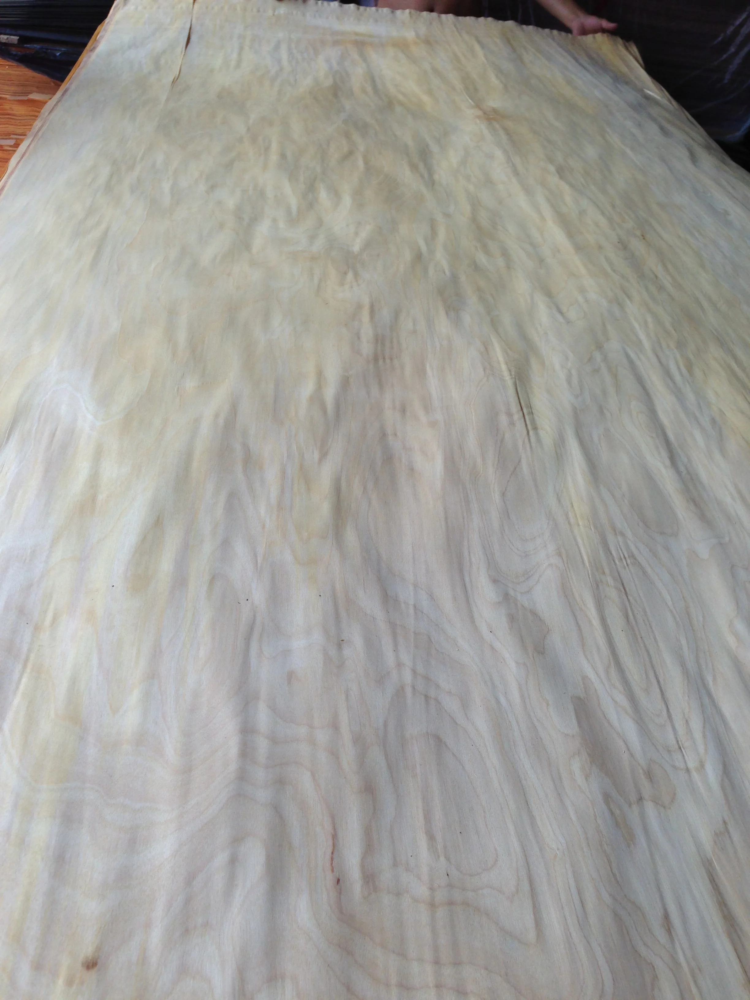 Natural Chinese Birch Wood Veneer for Hotel Plywood & MDF