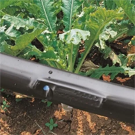 1 Hectare Kit Drip Tape System 16mm Double Hole Drip Tape Drip ...