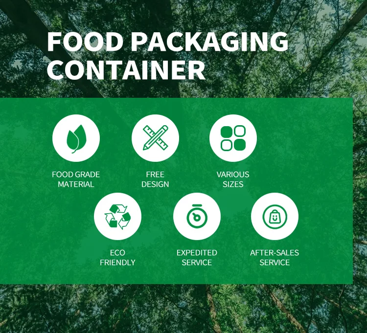 Disposable Food Storage Box Recyclable Tiffin 12 Pack Outdoor Cute Home ...
