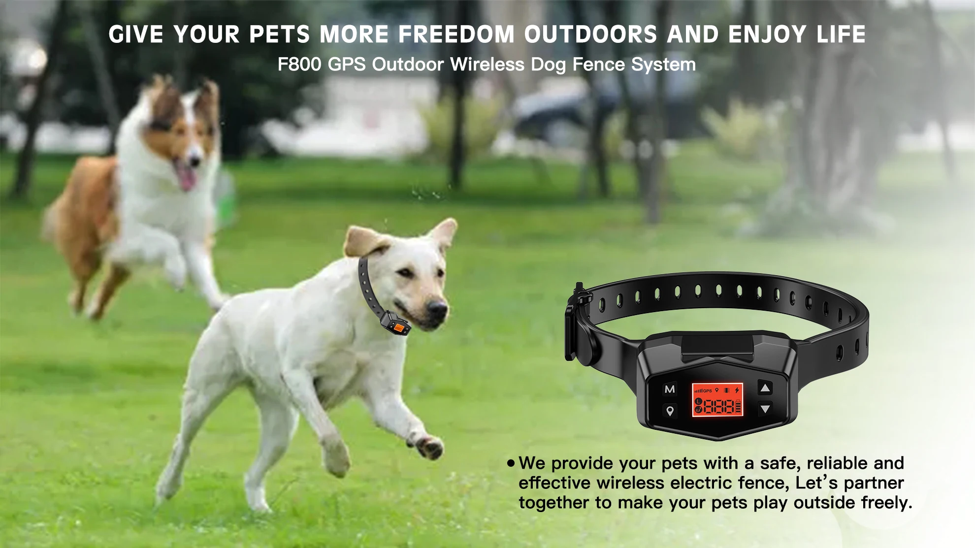 Outdoor Pet Containment System Dog Wireless Fence System GPS Collar for ...