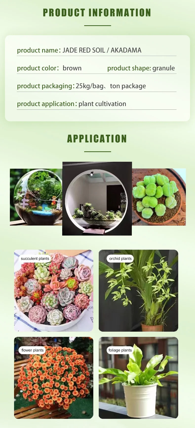 Akadama Bonsai Soil - High Quality Granules for Horticulture