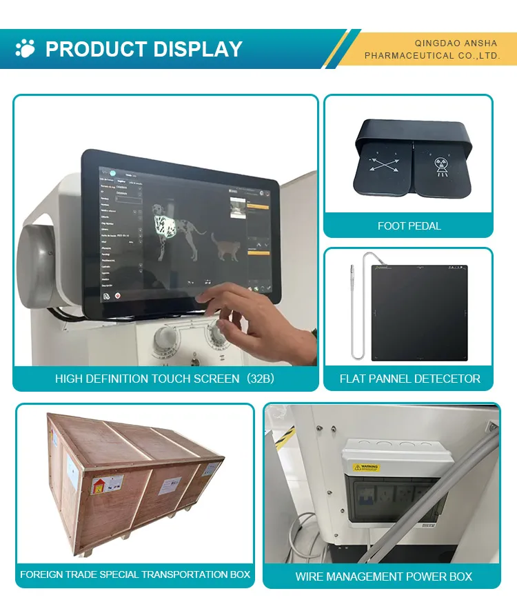 Imaging Equipment Animal X-ray For Veterinarians Veterinary X Ray ...