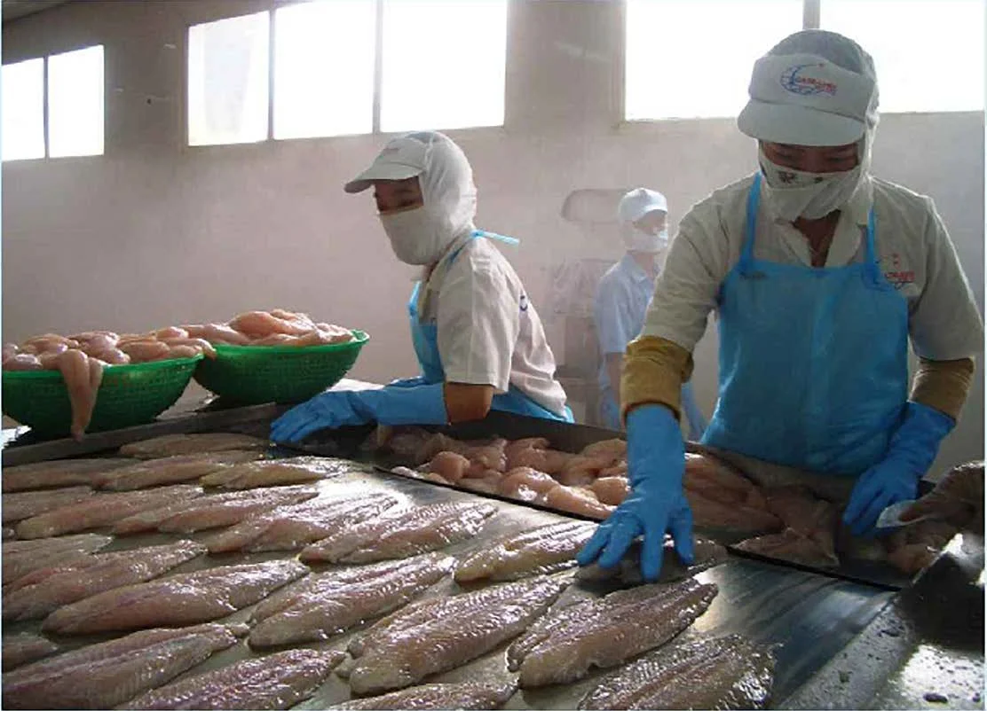 Iqf Tunnel Quick Freezing Blast Freezer Iqf Freezer Tunnel/quick Tunnel ...