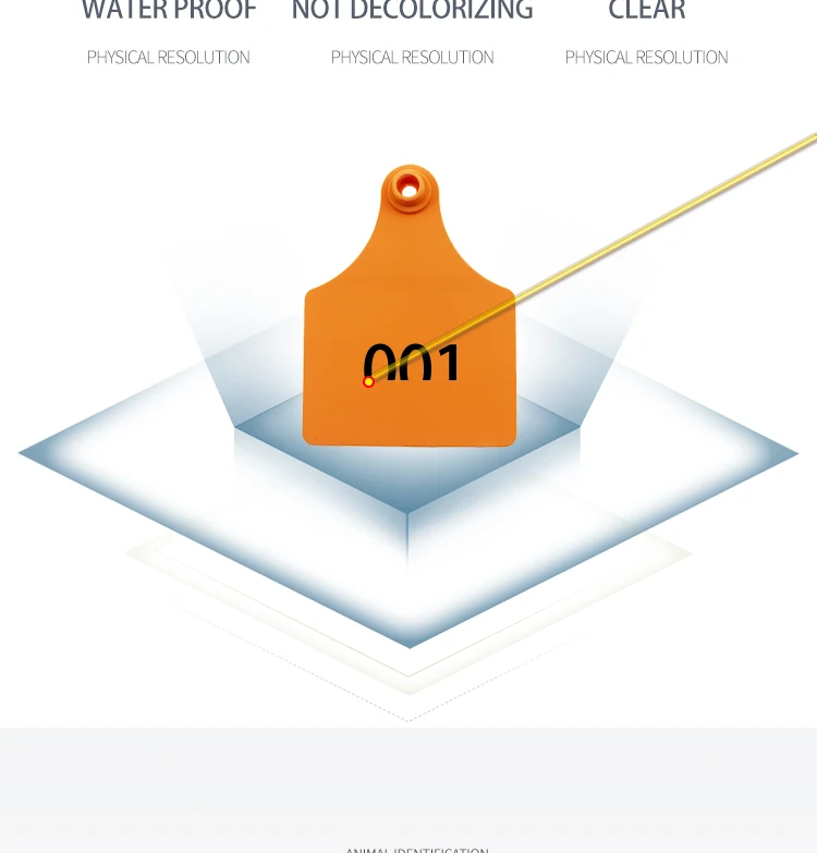 Reflective Ear Tag Rabbit Ear Tag For Animals - Buy Ear Tag rabbit Ear ...