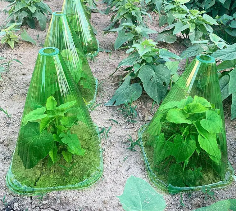Hot Sale10/20pcs Garden Cloche Dome Reusable Bell Jar Plants Covers ...