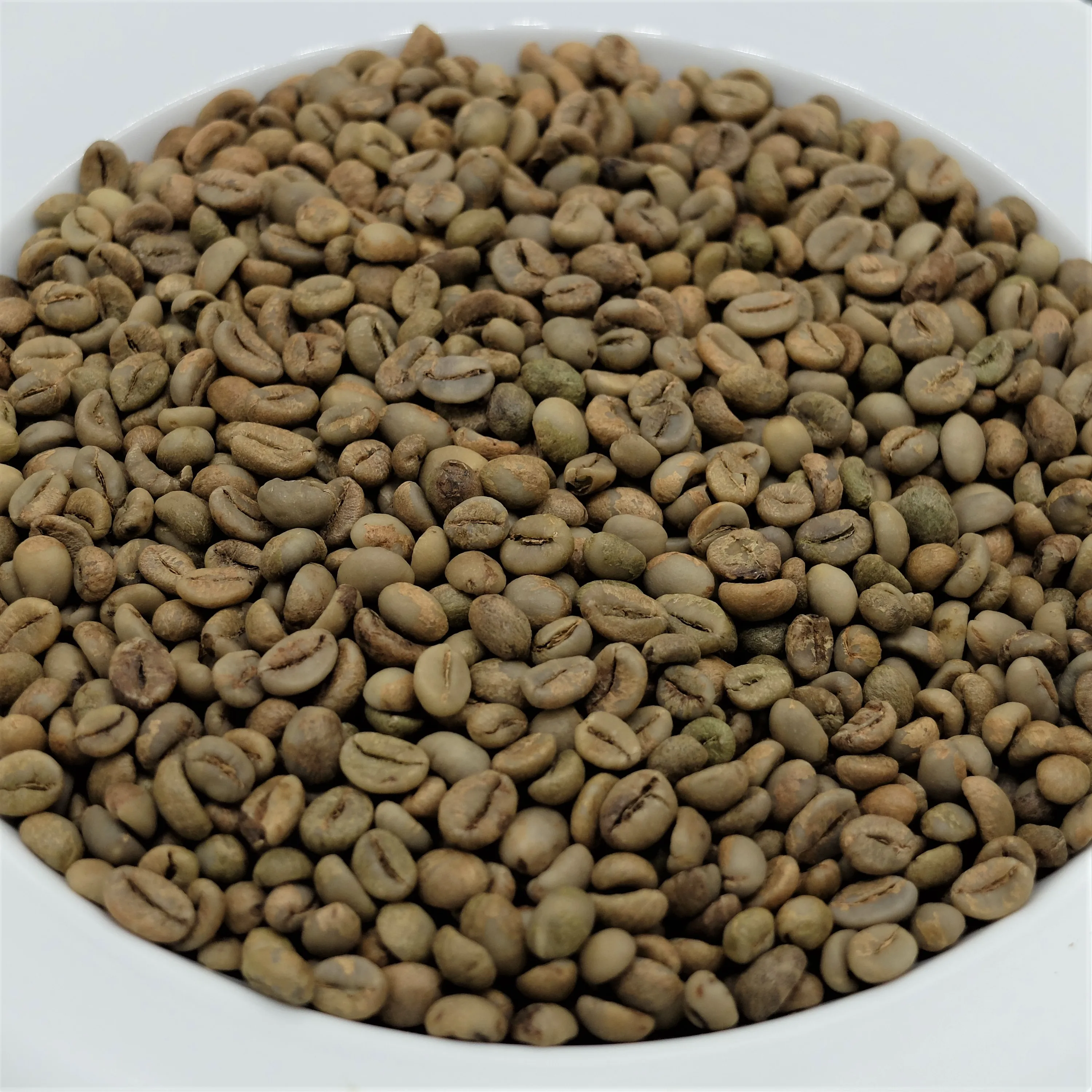 Wholesale Coffee Beans Robusta Honey Raw Robusta S16 Oem Support Manufacturer Vietnam Buy