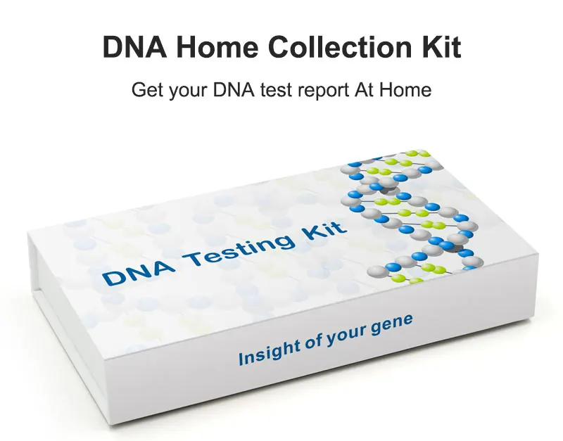 Human Collection Tube For Dna Test To Do At Home Wholesale Sample ...