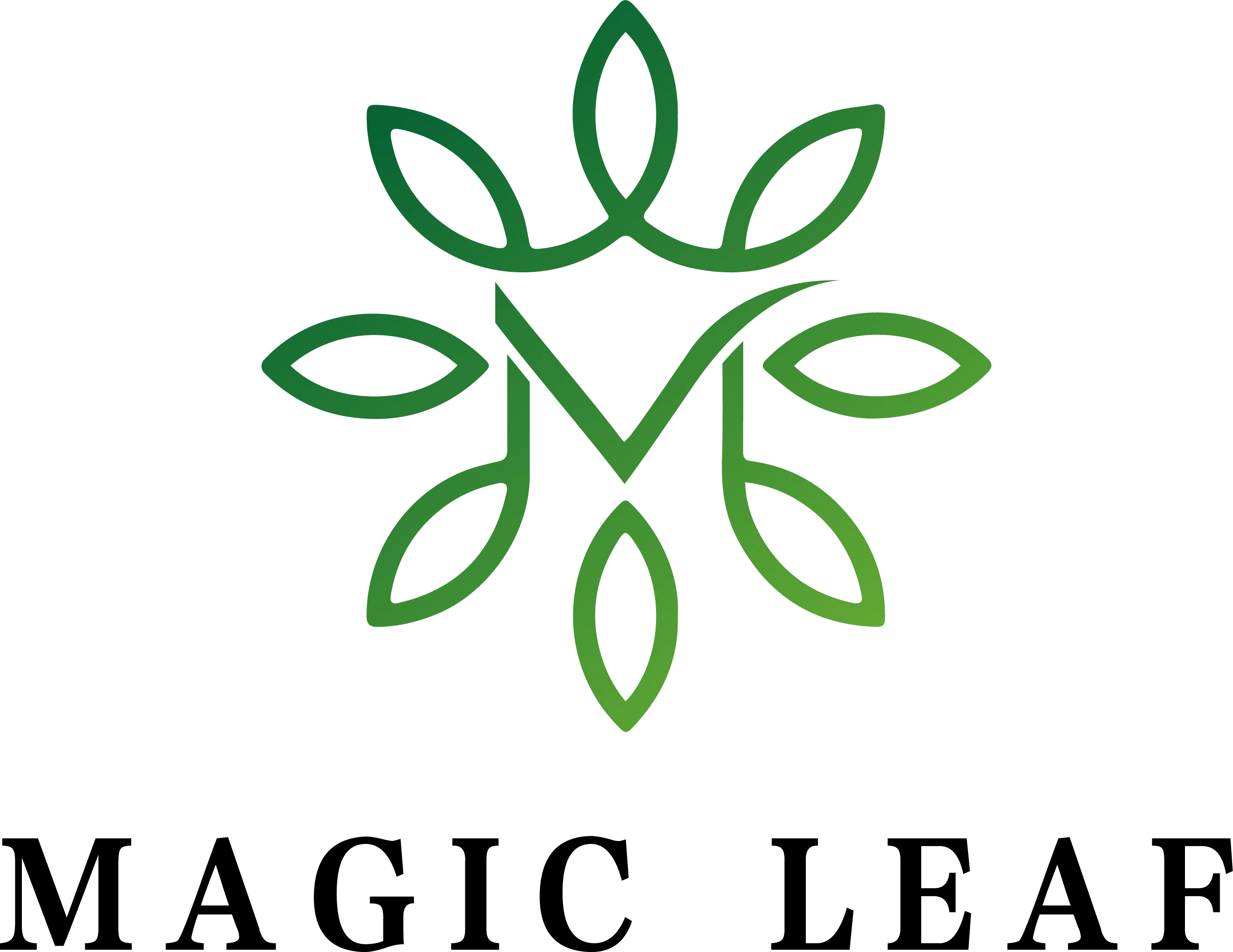 Company Overview - Hubei Magicleaf Technology Co., Ltd.