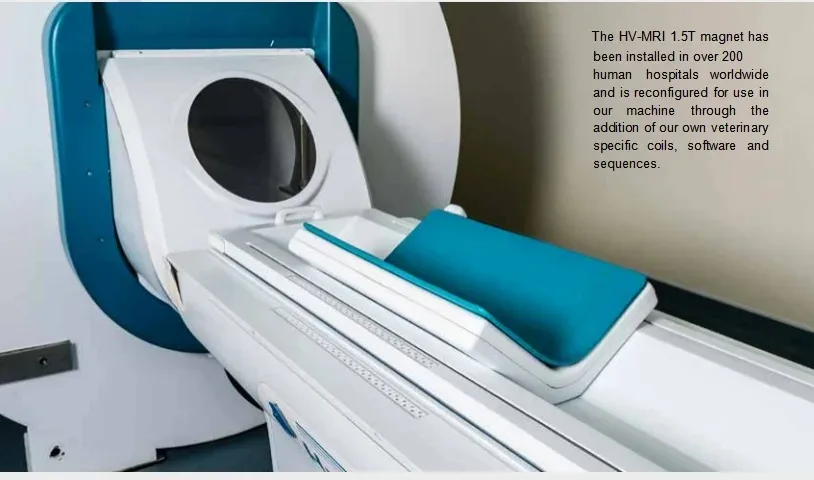Smart F Vet Veterinary Instrument Animal Mri Scan Magnetic Resonance ...