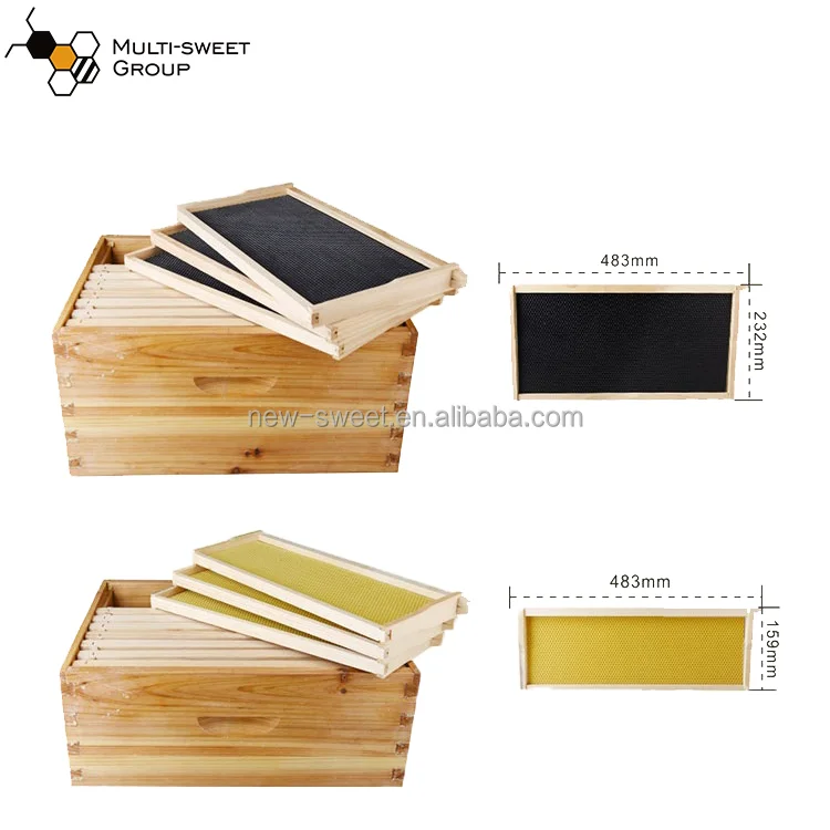 China Pine Wooden Beehive Box - 3 Layers Langstroth 10 Frame