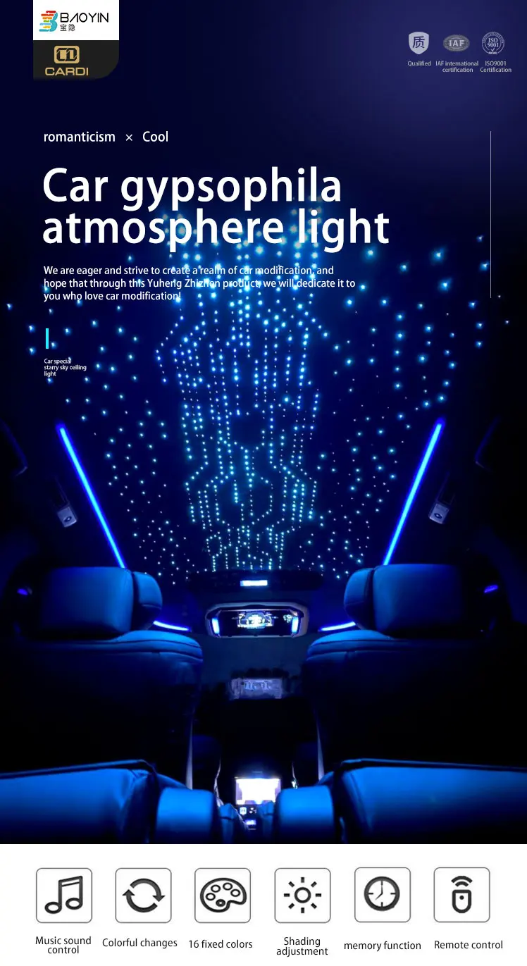 Automobile Fiber Optic Star Ceiling - Customizable Lights