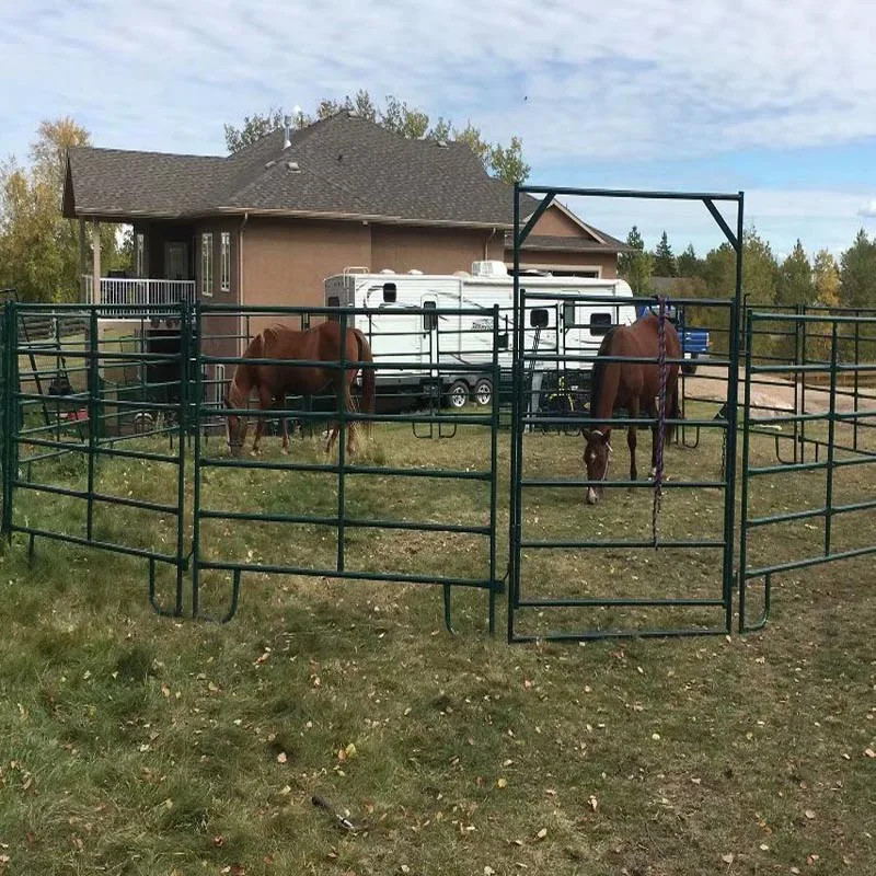 Durable Cattle Panels - ECO FRIENDLY Farm Fencing Solutions