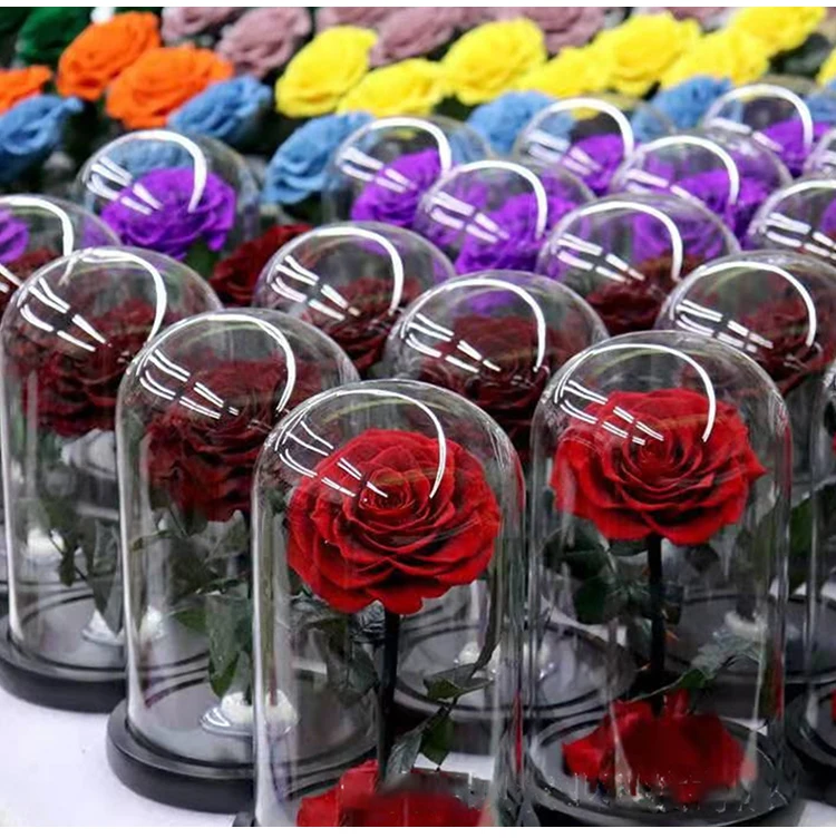 Most Popular Gift Preserved Roses With Wooden Base Preserved Rose ...