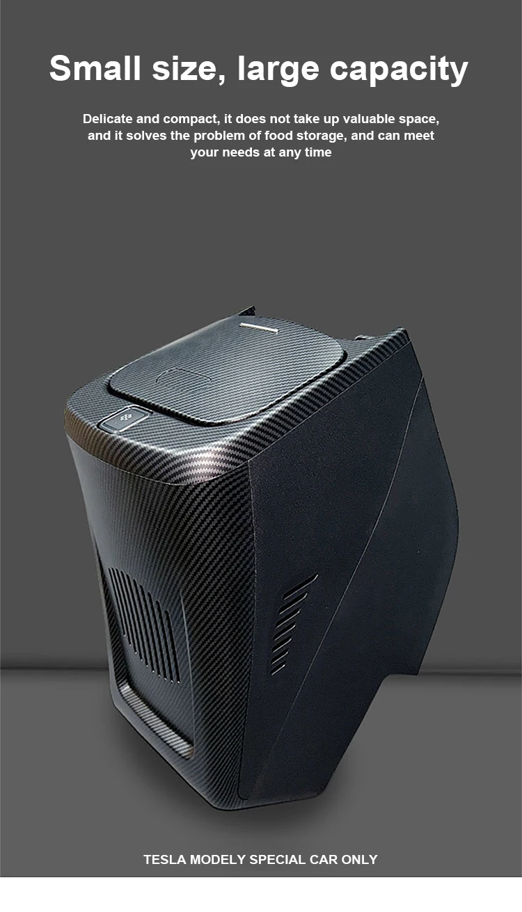 Frozen 12V Ev Car Refrigerator Mini Fridge for Tesla Model Y