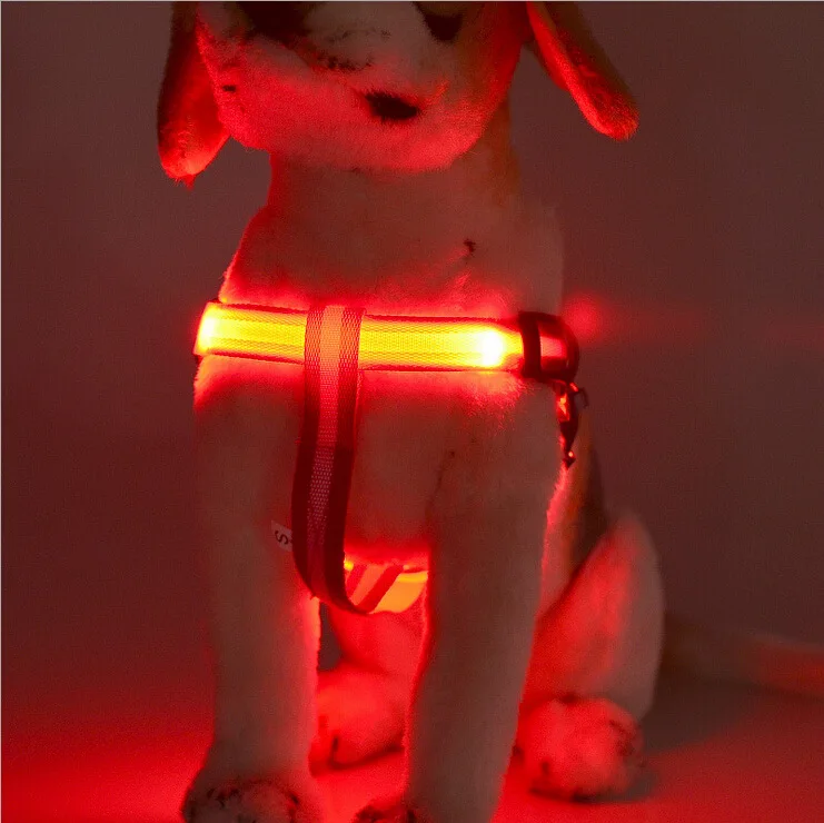 Light up Dog Harness - Rechargeable LED for Night Walks