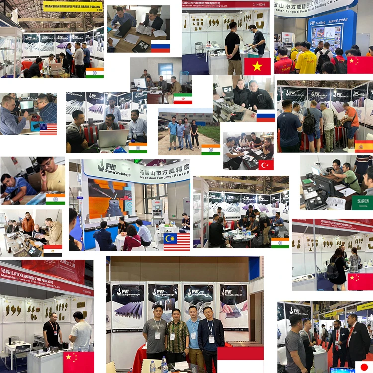 Fangwei Custom 42CrMo Steel CNC Press Brake Tools Punch and Die High ...