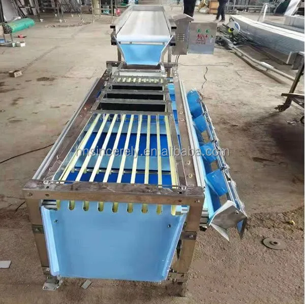 Stainless Steel Tomato Garlic Onion Sorting Machine Potato Grading Size ...