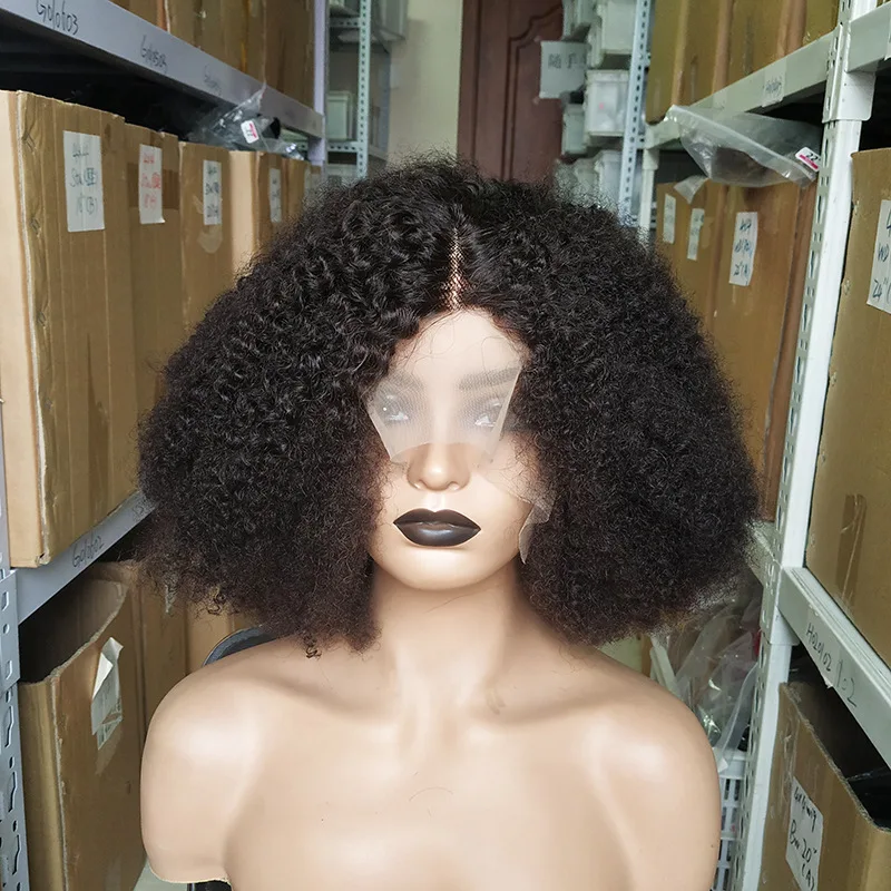 200 Density Hd Lace Wig Afro Kinky Curly Wig Afro Hair Wigs For Black ...
