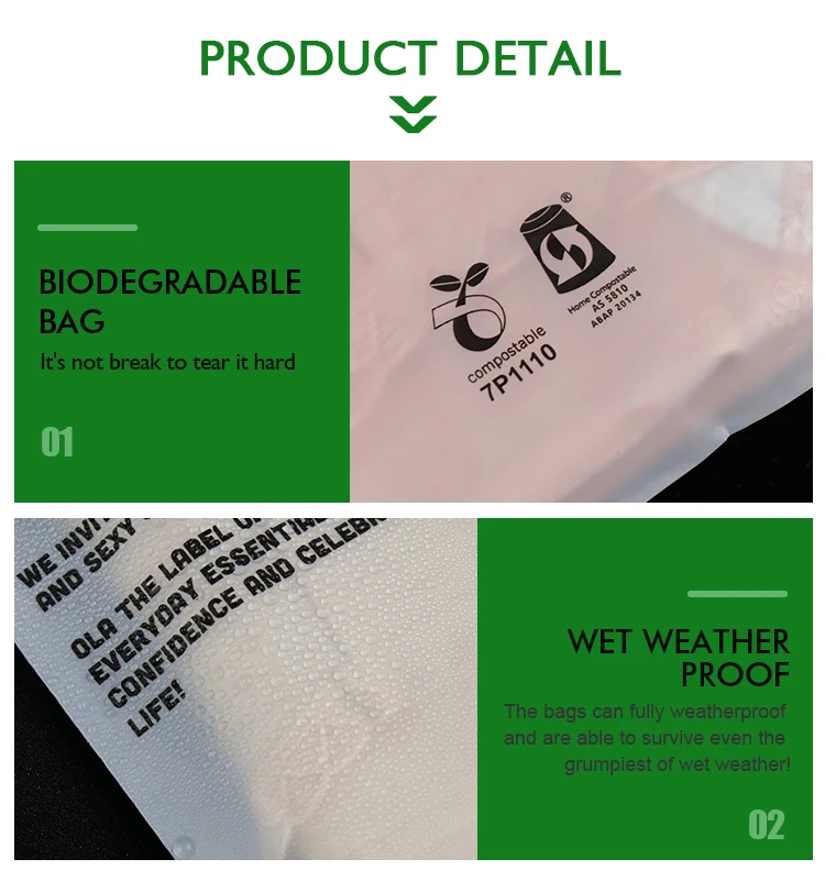 Biodegradable Transparent Self-Seal Bags for Clothing Packaging - OEM