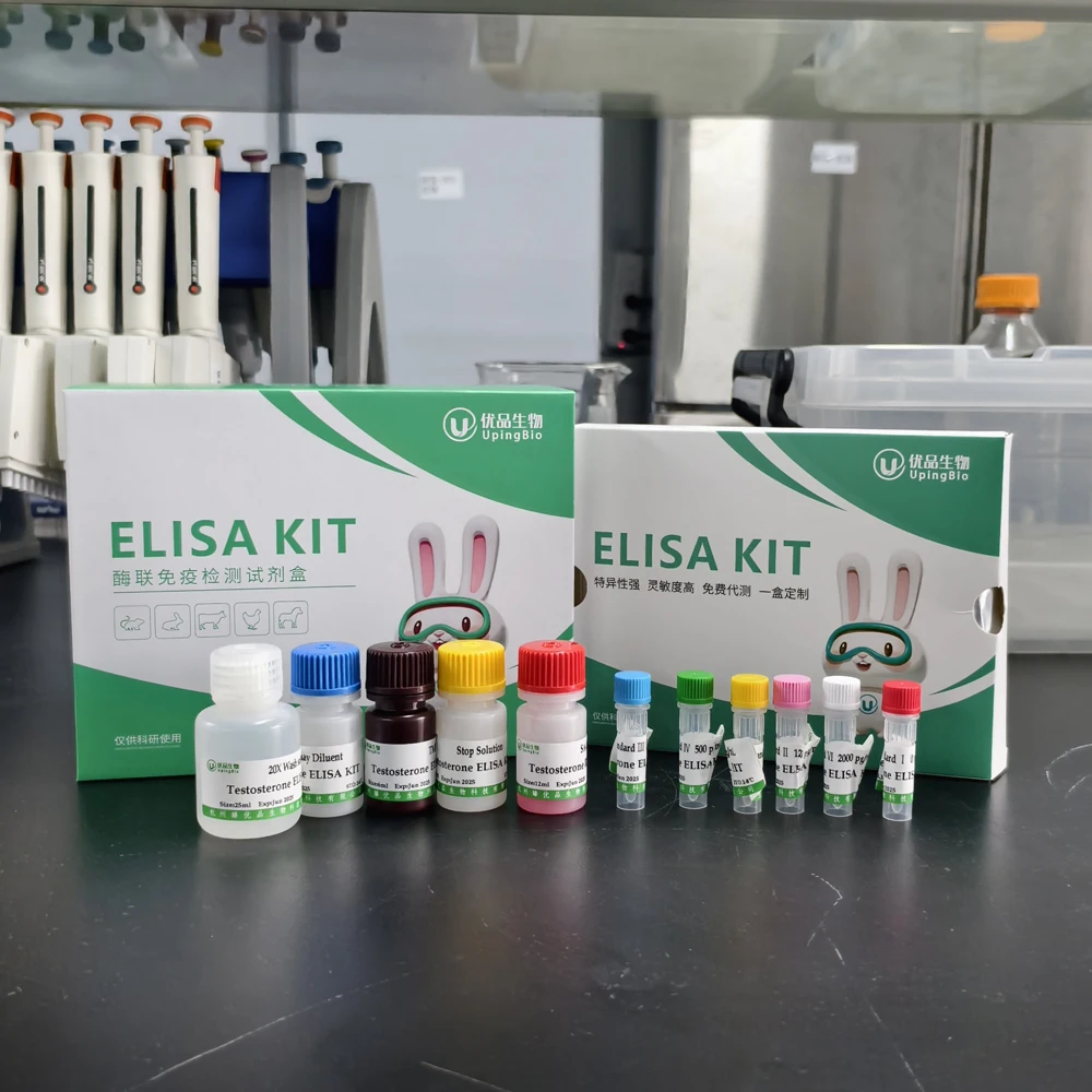 Human Complement Component 5a (C5a) Elisa Kit| Alibaba.com